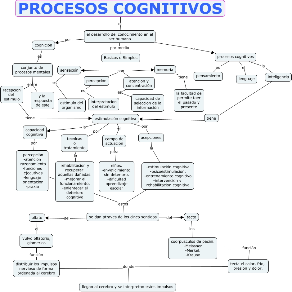 procesos cognitivos